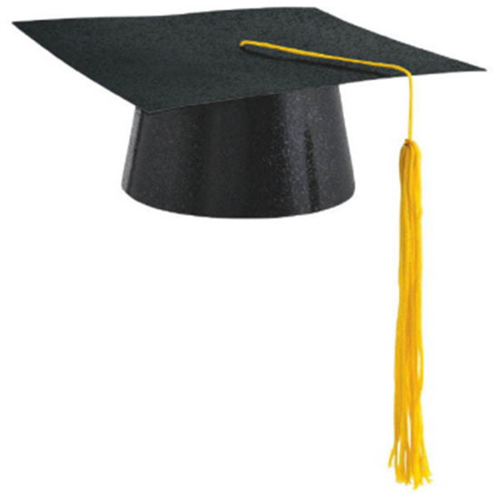 PartyMart. WEARABLES - MINI BLACK GRADUATION CAP